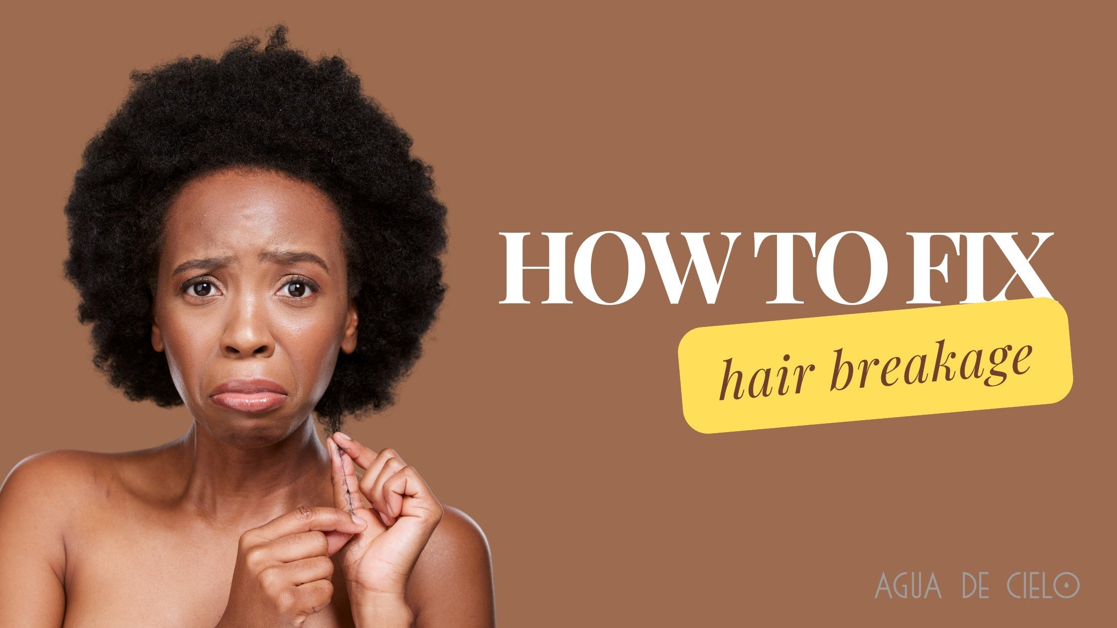 What is Hair Breakage and How to Fix It